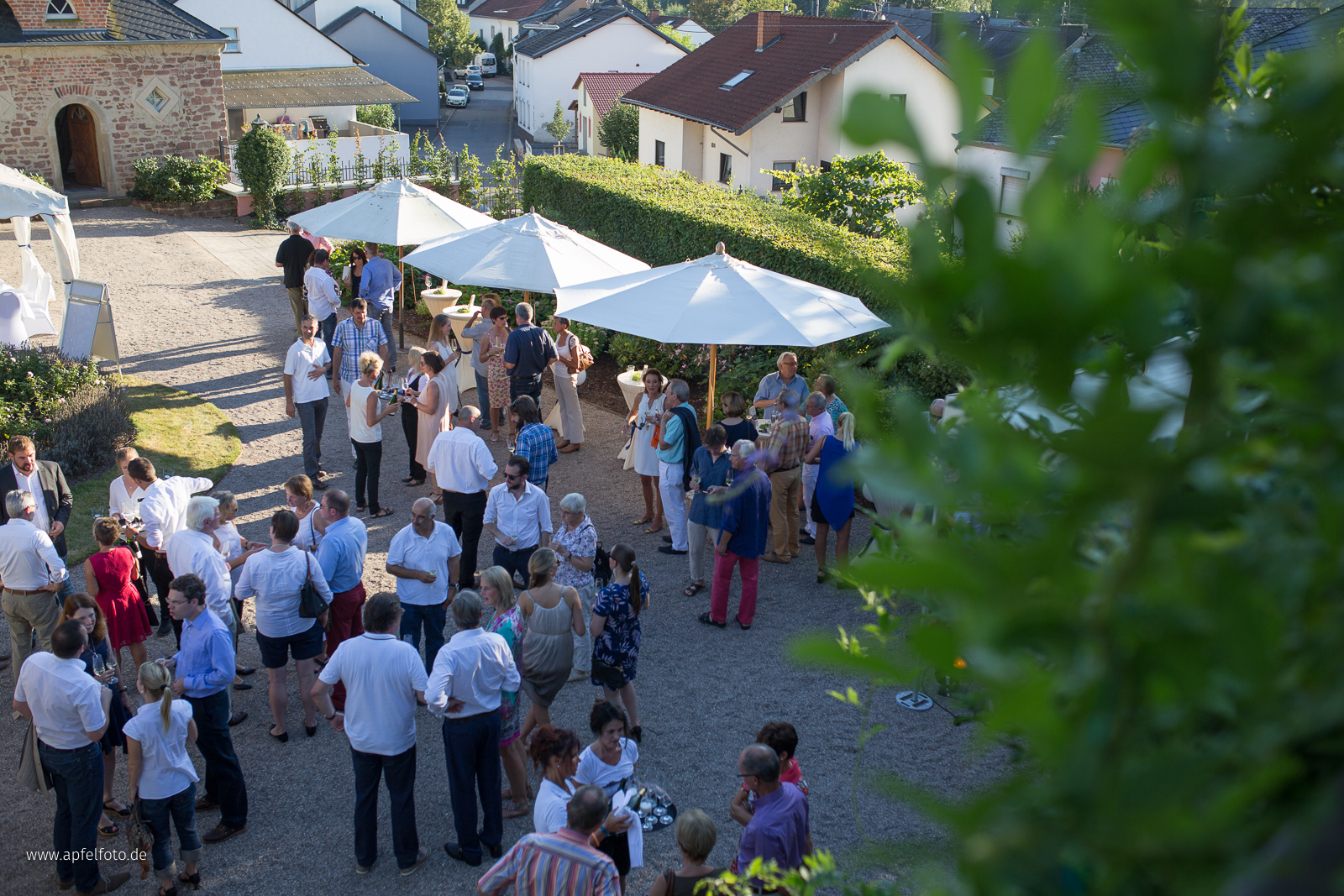 Highlights am Weingut Reverchon - Highlights!